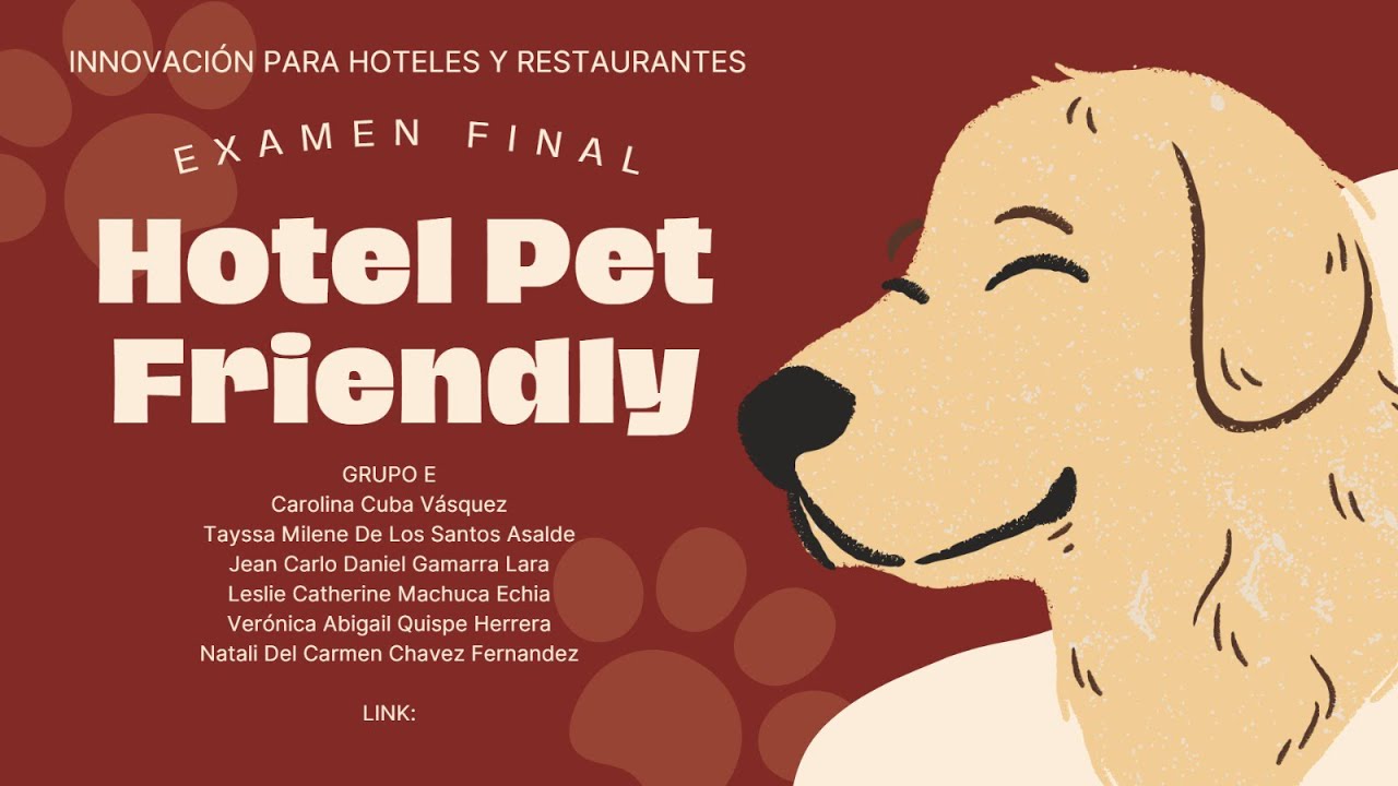 Hotel Pet Friendly YouTube hotel-pet-friendly-youtube