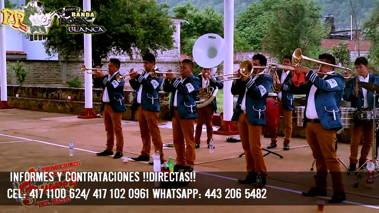 SI LE GUSTA LA MÚSICA RANCHERA -BANDA ROSA BLANCA 2015 - YouTube