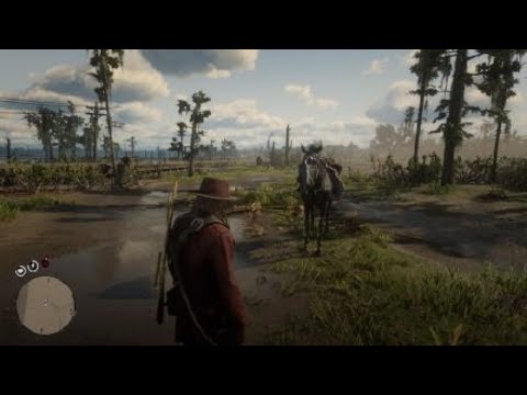 Red Dead Redemption 2 Western Toad Location - YouTube