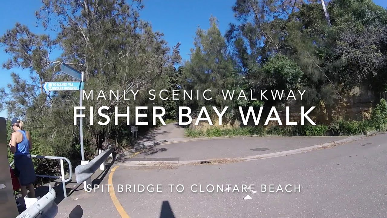 Manly Scenic Walkway Part 1: Fisher Bay Walk in 5min - YouTube