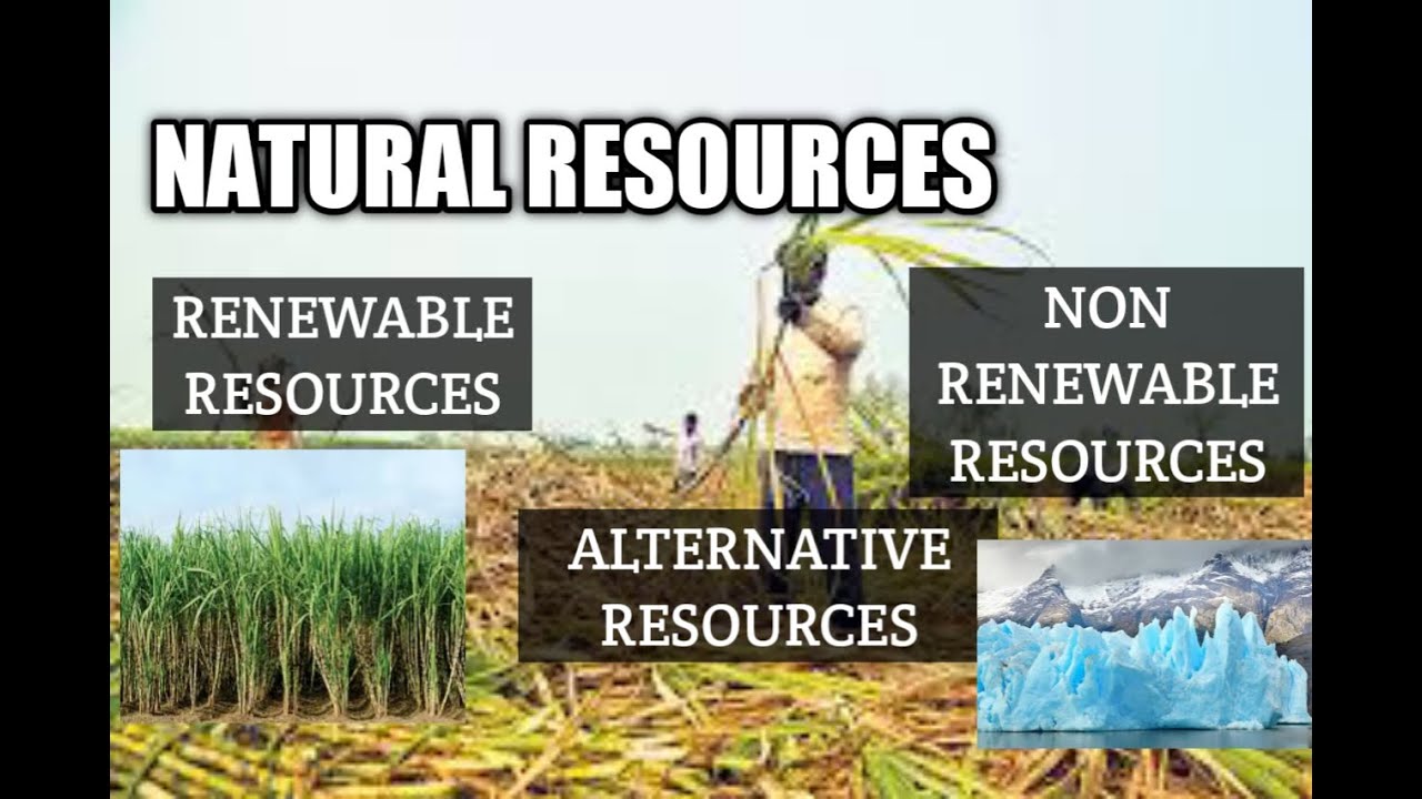 Natural Resources RENEWABLE RESOURCES | CLASS 5th SST CHAPTER 4 || N H ...