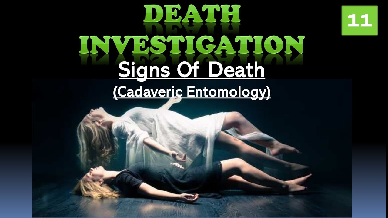Late Changes-Cadaveric Entomology | Skeletonisation | Death ...