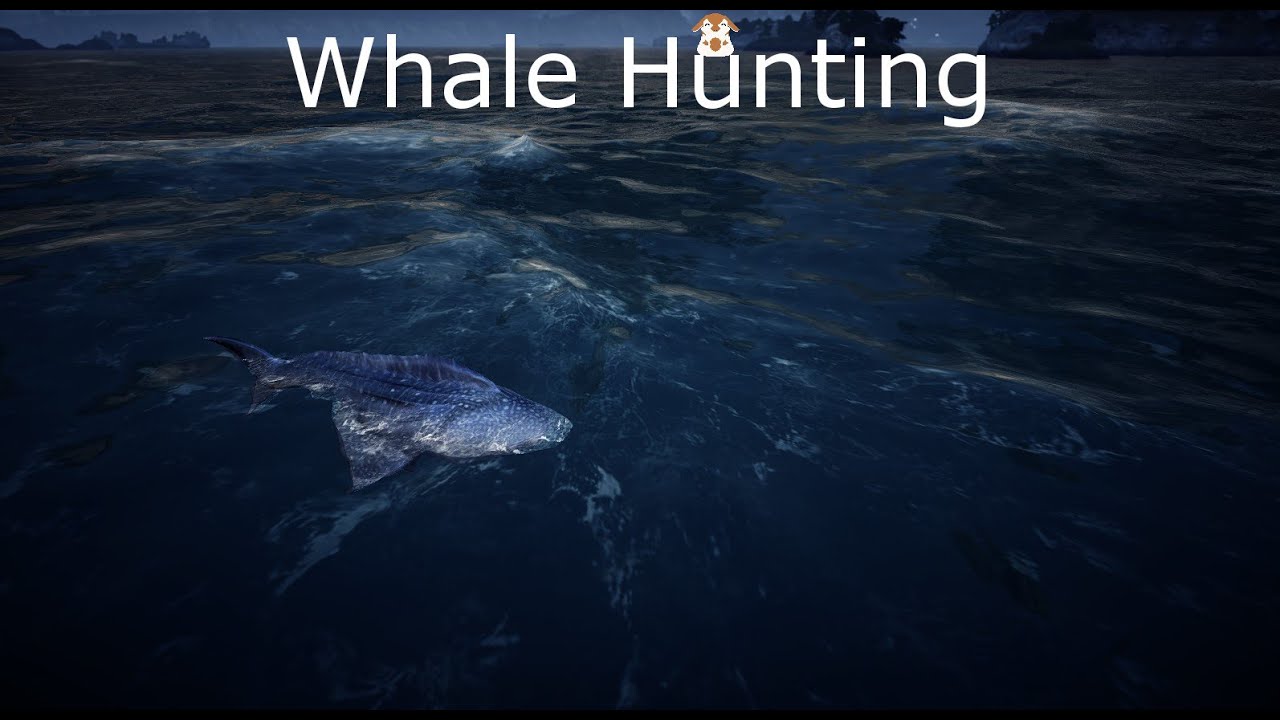 Black Desert Online - Small Whale Hunting - YouTube