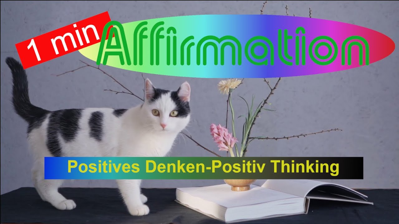 #Short Affirmation with Cat Positive Thinking positives Denken - YouTube