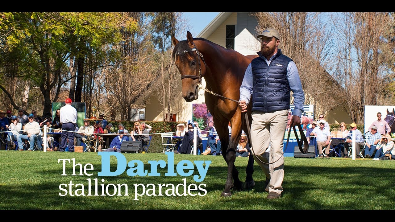 The Darley Australia stallion parades 2017 - YouTube