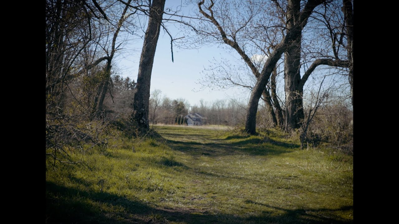mourning dove — a short film - YouTube