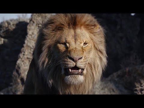 Lion Attitude Whatsapp Status | Tera baap Aaya