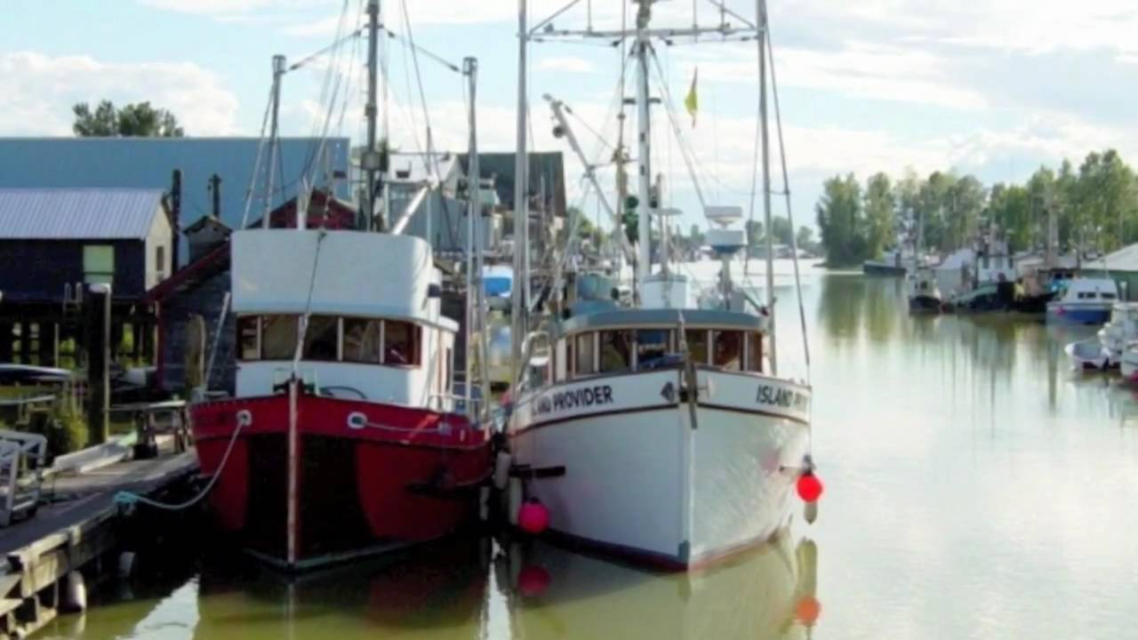 Old Lady Rose - by David Baker - YouTube