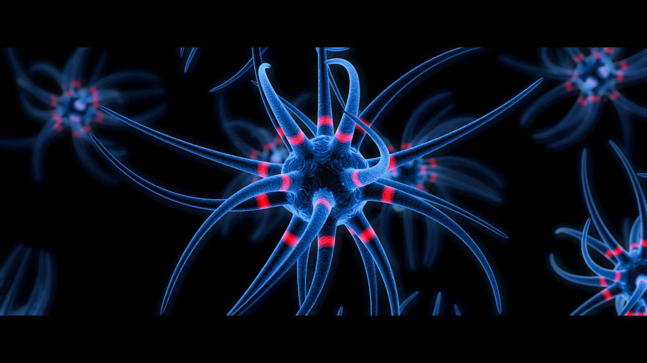 Cinema 4D - Brain Cells Animation - YouTube
