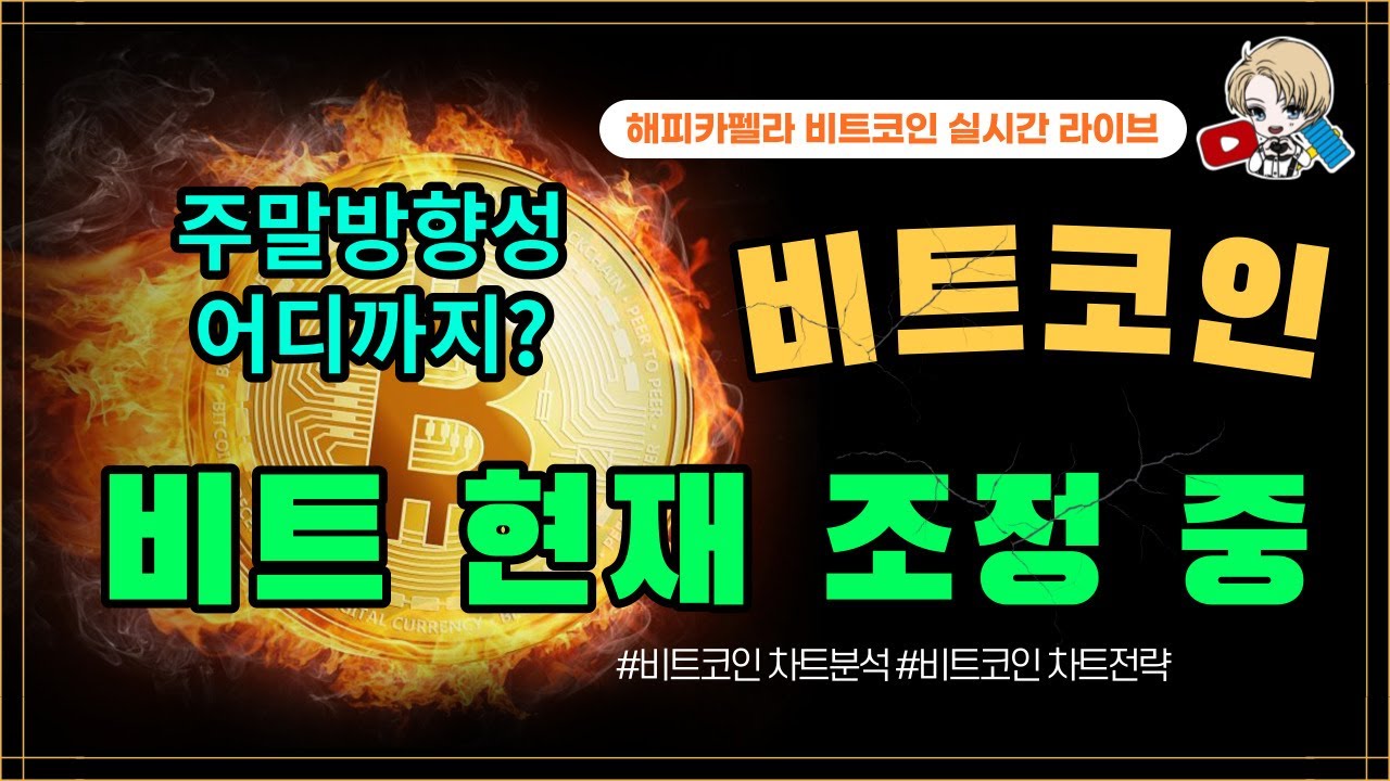 비트코인 실시간 비트 현재 조정 중 주말 방향성 어디까지 11월 3일 점심💎 비트코인 비트코인실시간 이더리움 리플