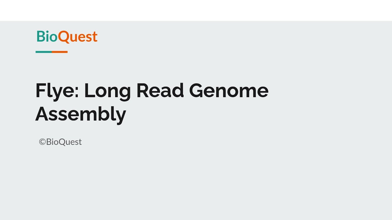 Flye: Long Read Genome Assembly Tool - YouTube