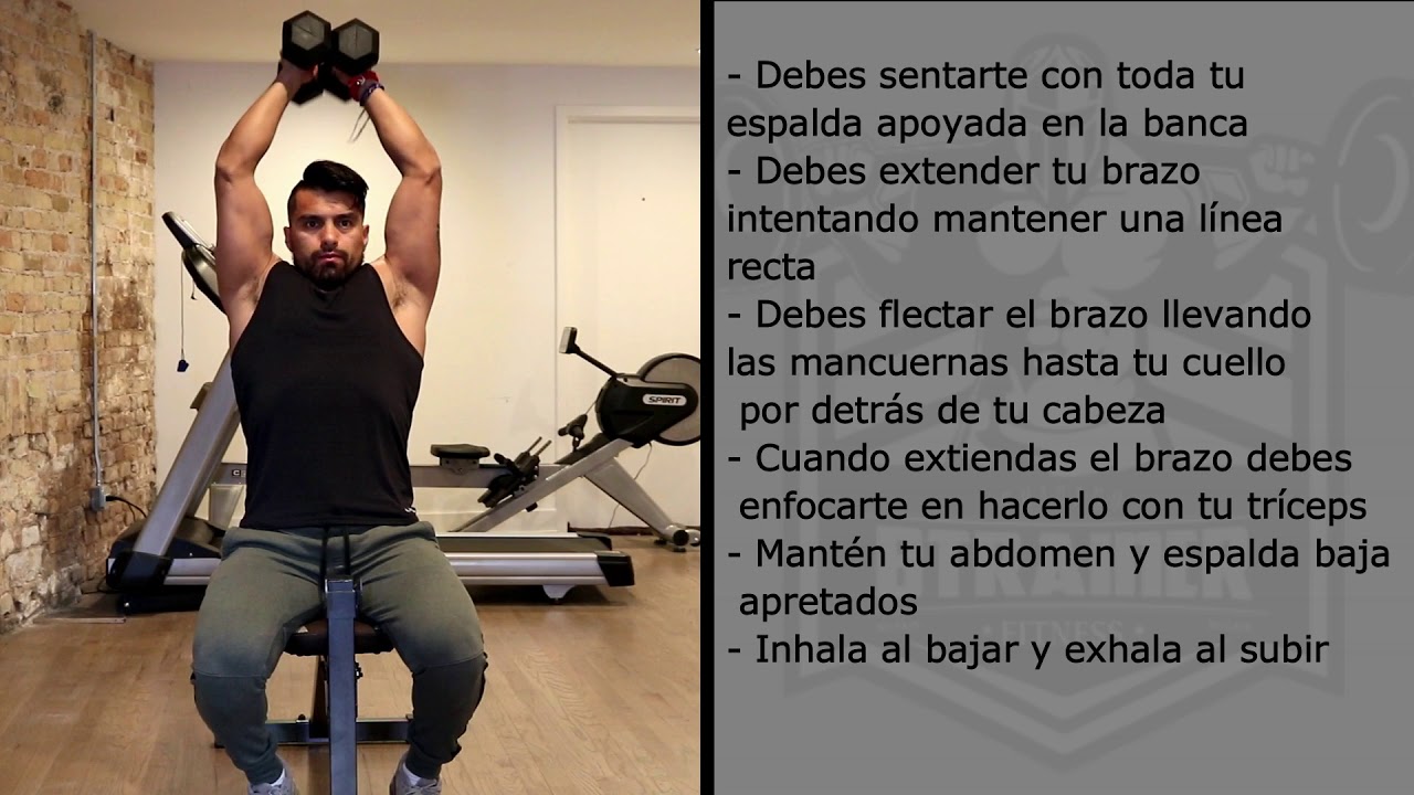 seated triceps press dumbbells Pres sentado con mancuernas - YouTube