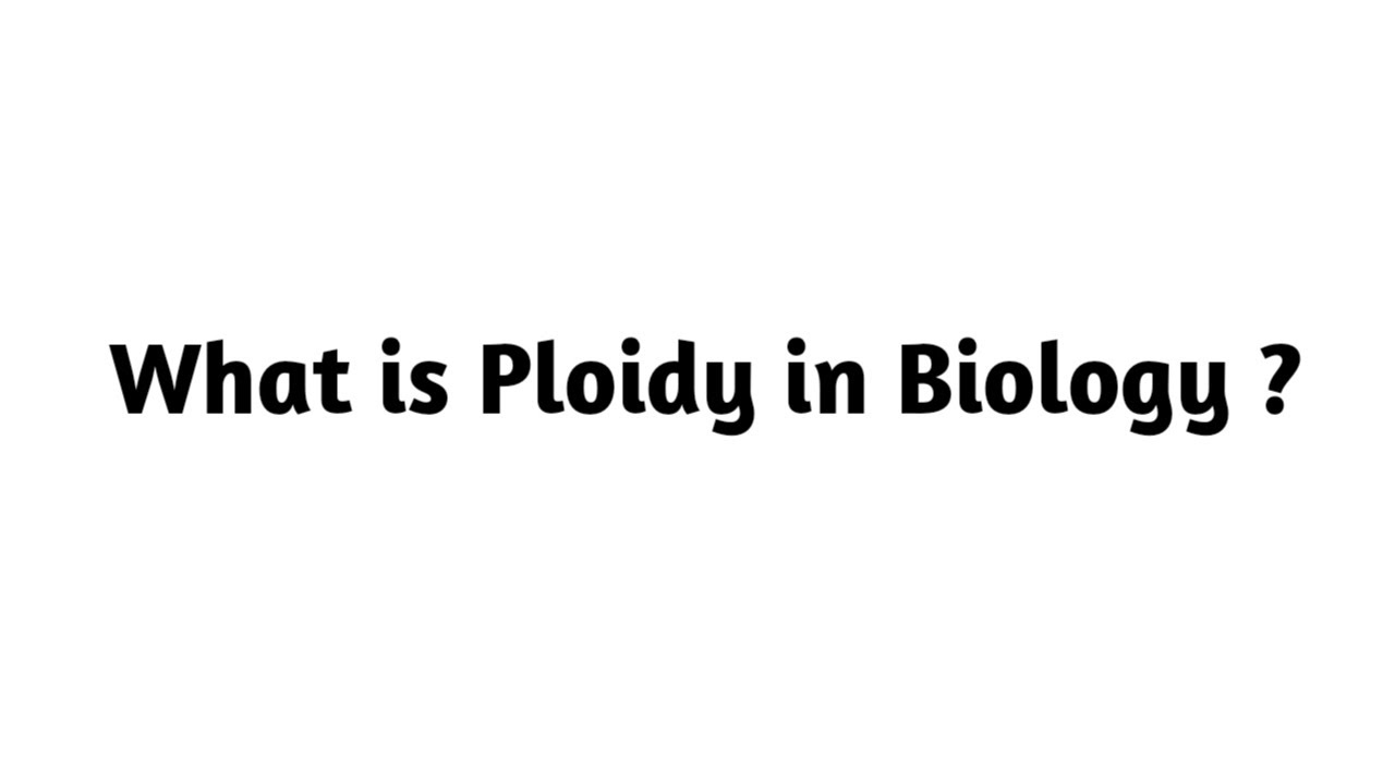 What is Ploidy in Biology ? - YouTube