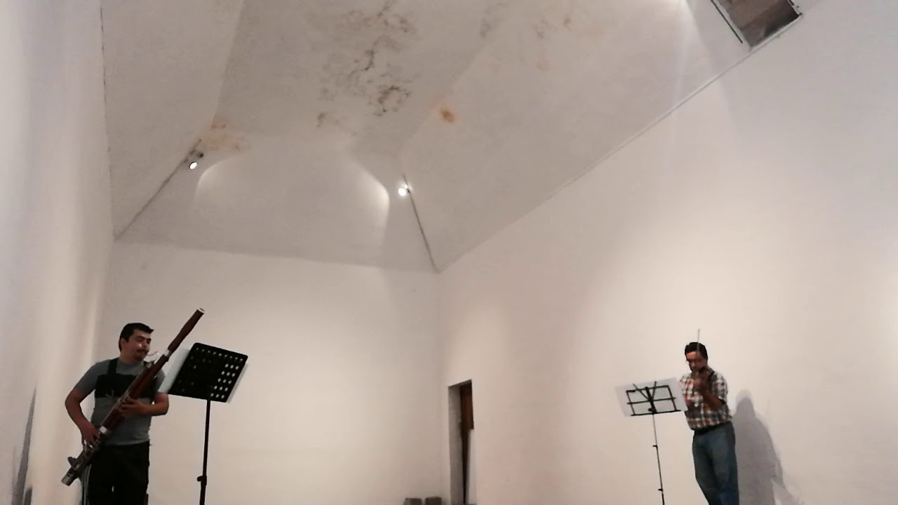 DUO "XYLO" BICINUM Joan Maria Tasso c.1550 - YouTube