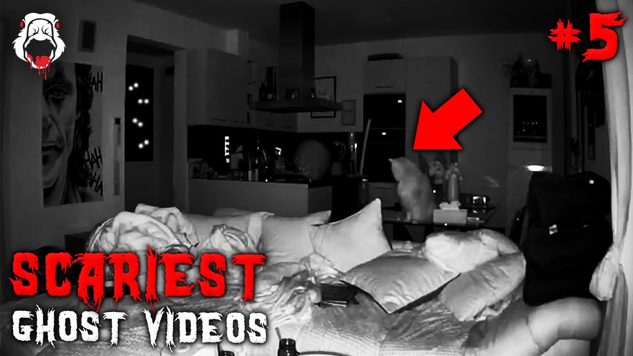 1 Hour of Scary Videos [Scary Comp. V5] - YouTube