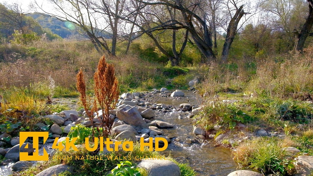 1 Hour of Relaxing Water Stream Sounds - YouTube