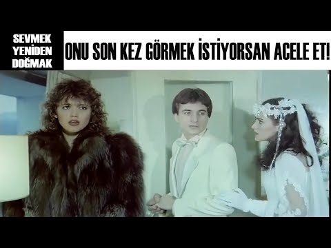 Sevmek Yeniden Doğmak Türk Filmi | Selma ile Sedat, Leyla'ya Tüm Gerçekleri Anlatır