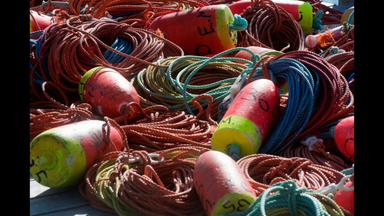 Lunenburg photo workshop with Andre Gallant group leader. - YouTube