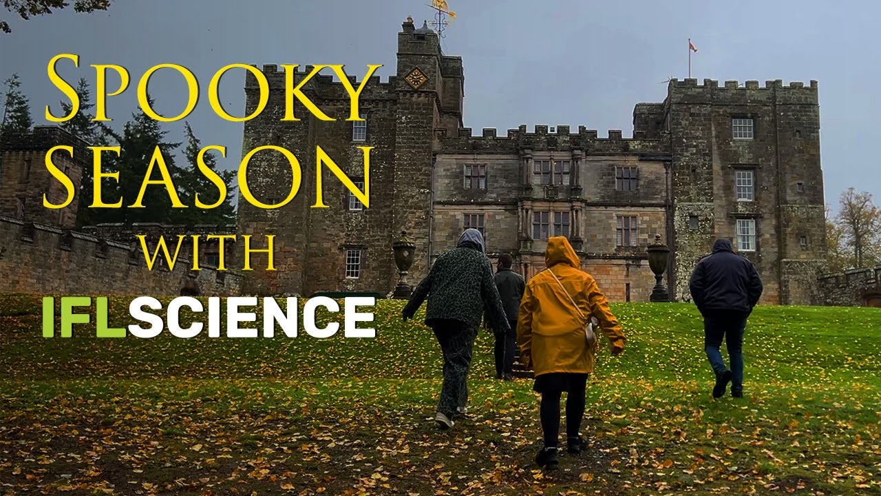 Spooky Season 2024 Trailer - YouTube