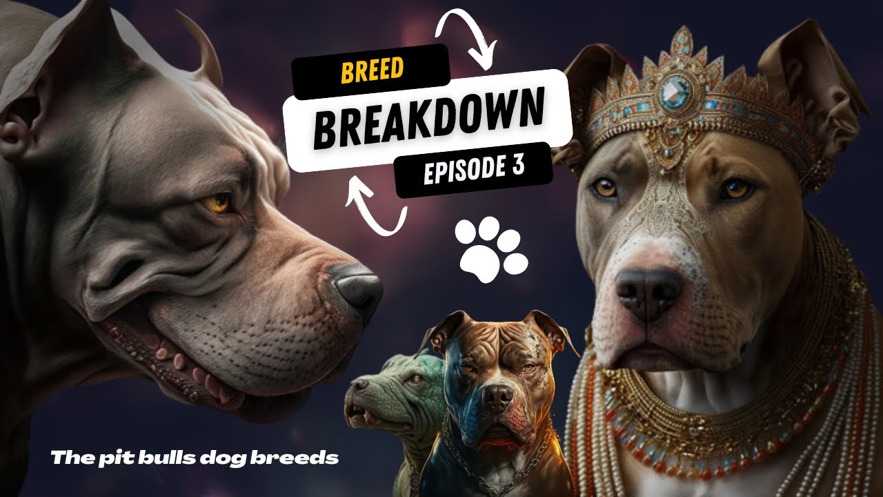 Unleashing the Truth: The Pit Bull Perspective - YouTube
