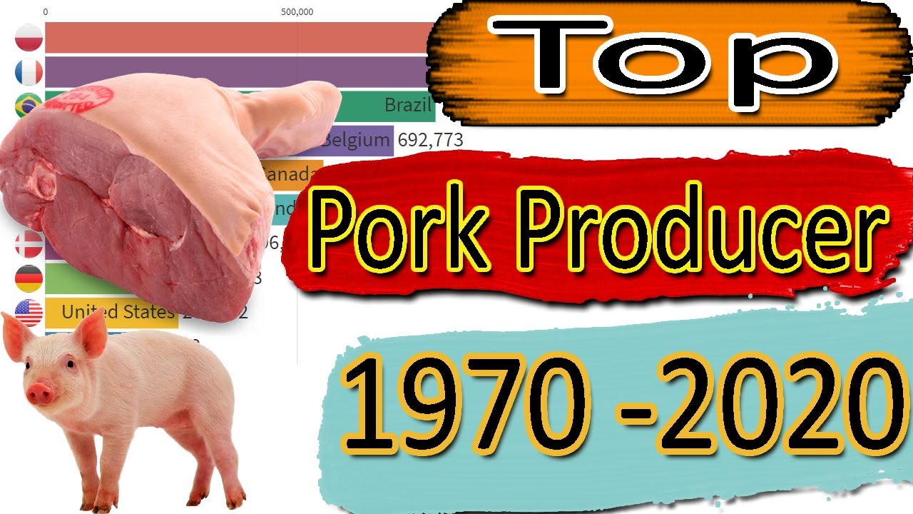 Top Pork Producing Countries(1970 - 2020) | Data Factory | - YouTube