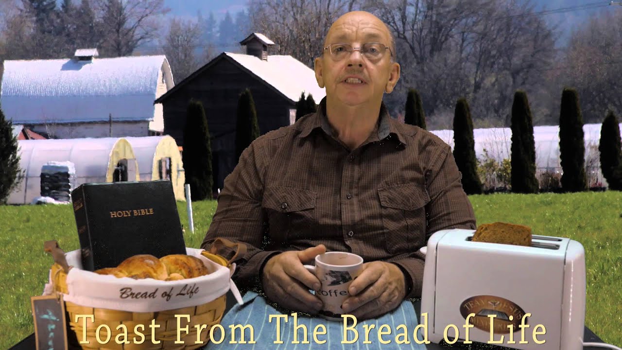 Toast 56 Persuaded or Almost - YouTube