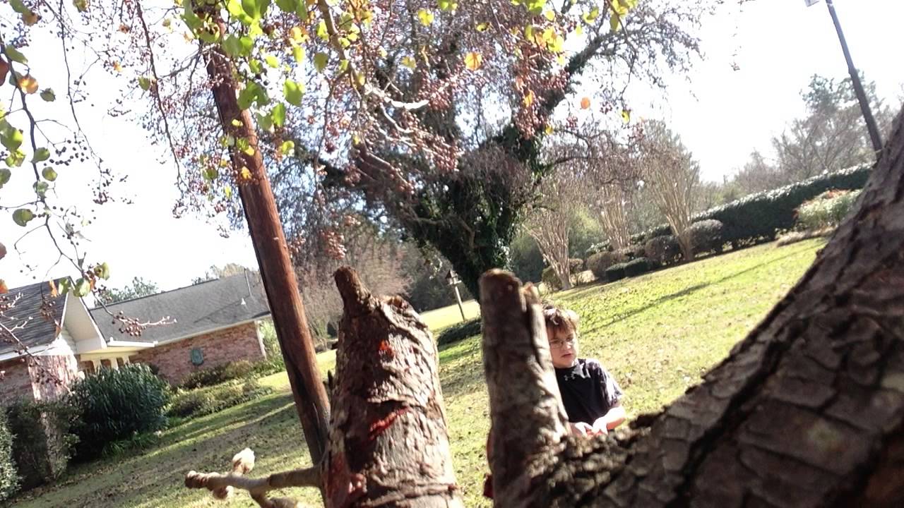 Starting up echo rotational control PB-250LN - YouTube