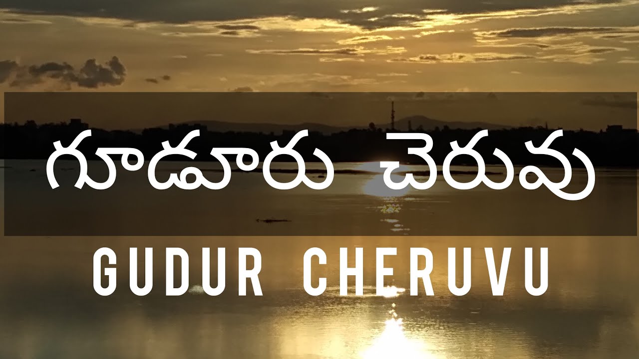 Gudur Cheruvu | Gudur Mandal | Nellore Dist , Andhra Pradesh | India ...