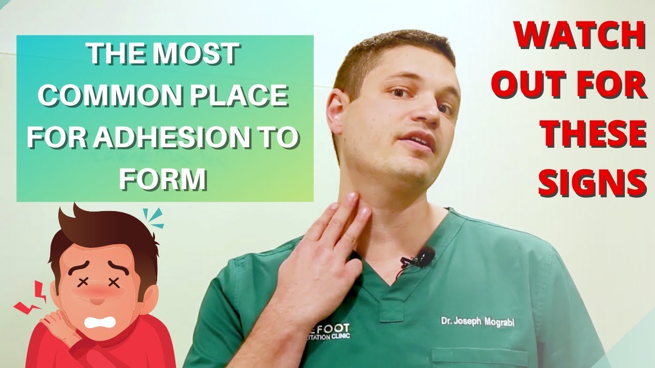 Your scalene muscles may have adhesion: Here is how you can find out ...