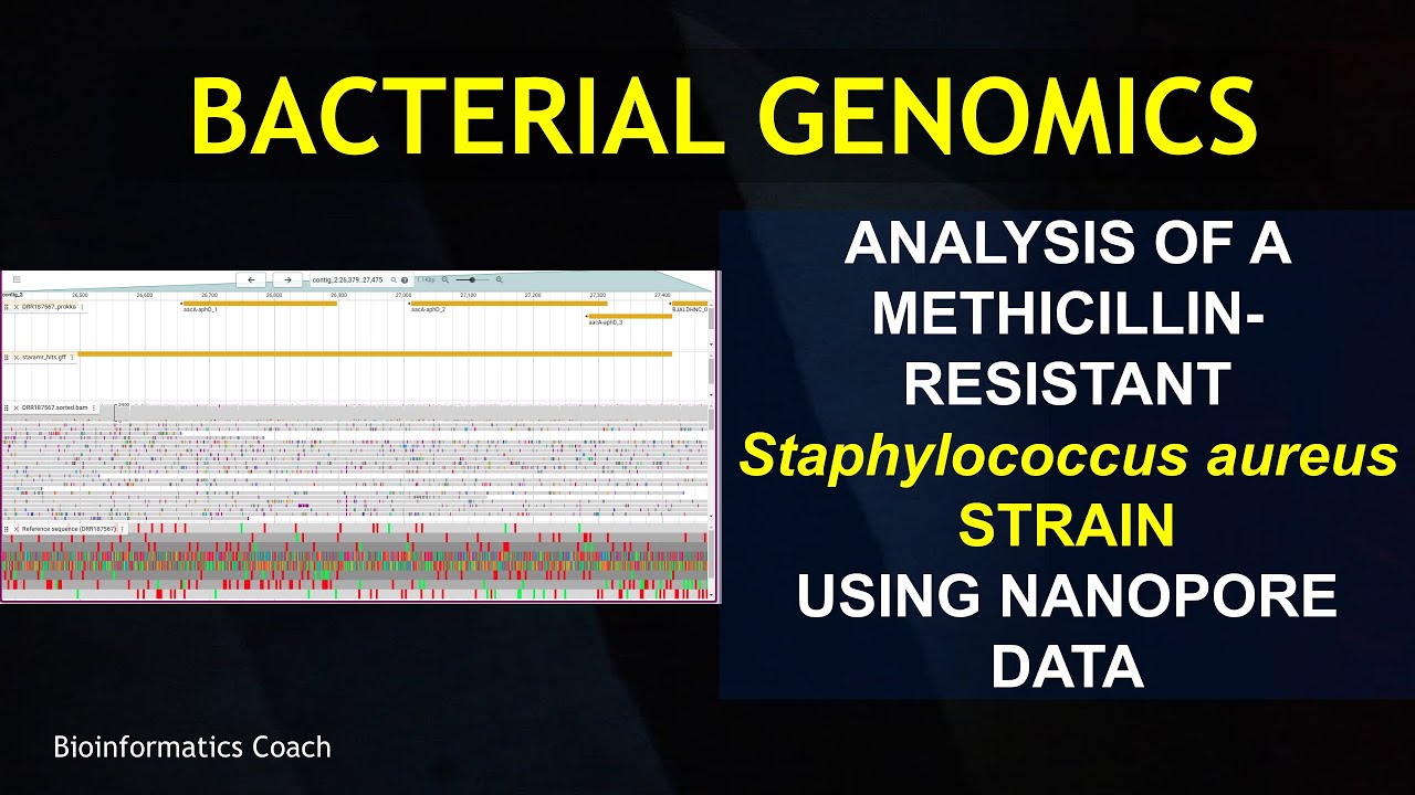 Whole Genome Sequence Analysis | Bacterial Genome Analysis ...