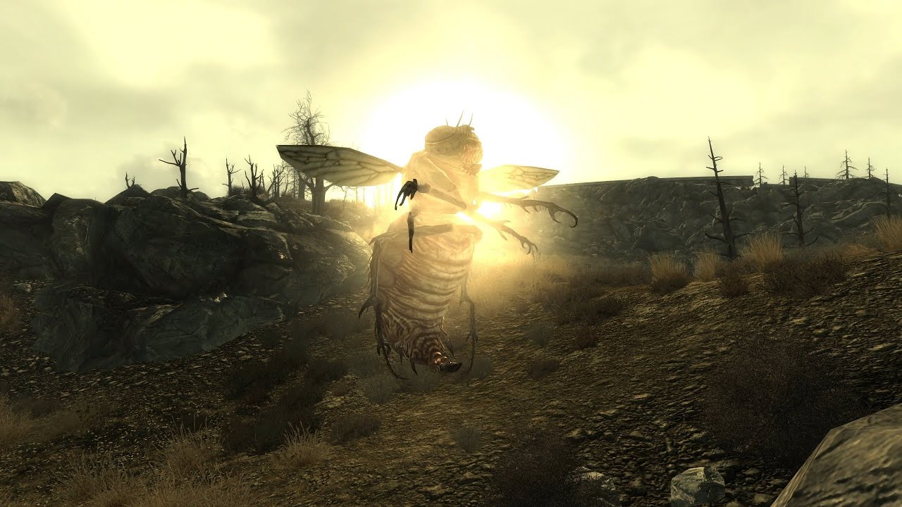 FO3 Mods - Irradiated Bloatfly (Enhanced Bloatfly) By Za1zeR - YouTube