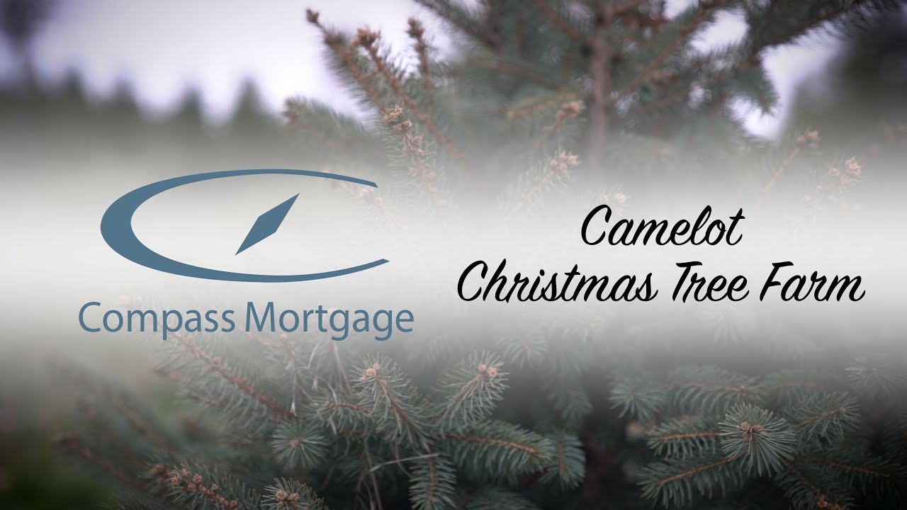 Camelot Christmas Tree Farm - Community Spotlight - YouTube
