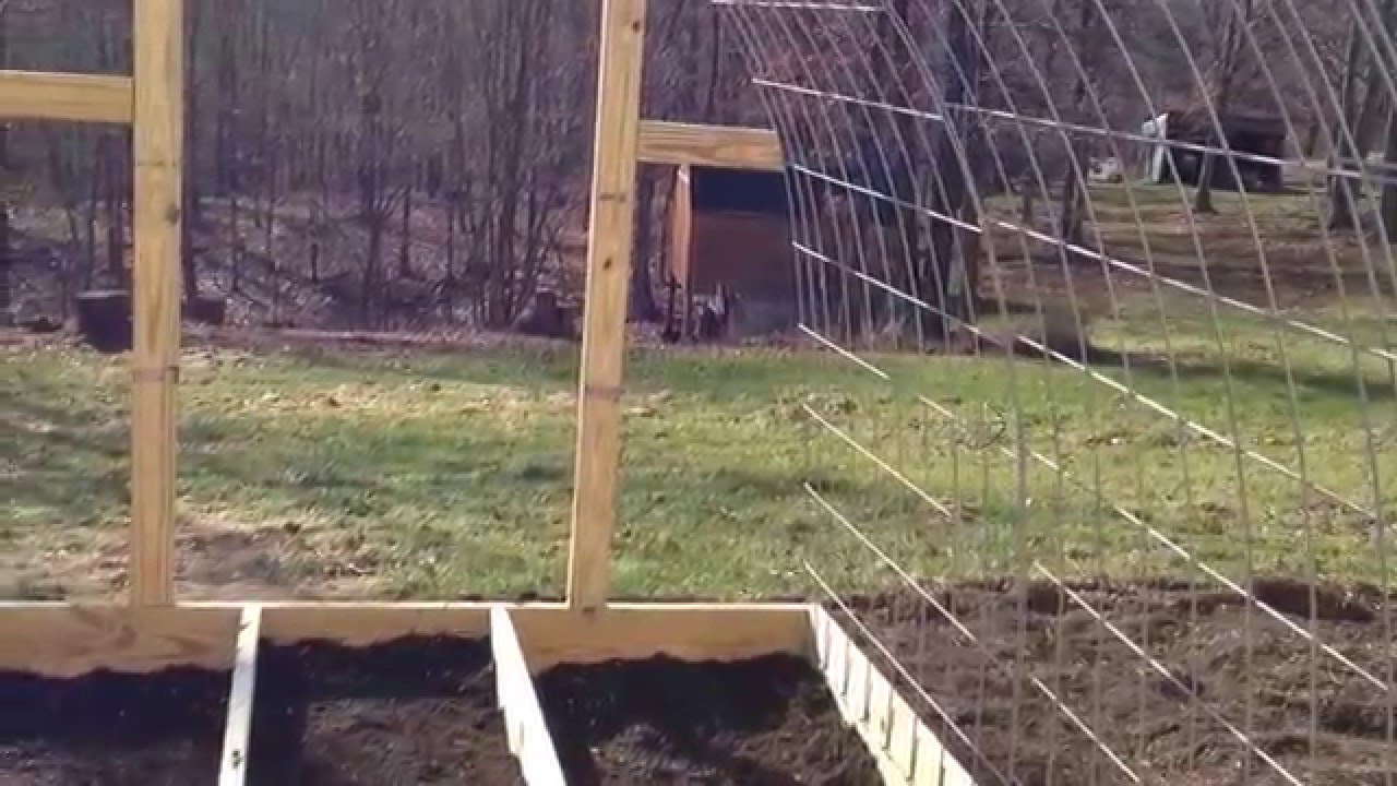 Plant Propagation Bed vid7 - YouTube