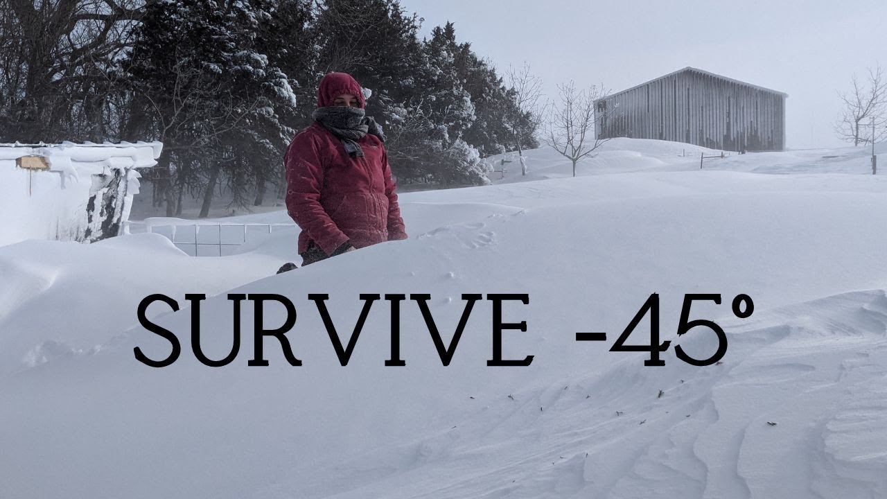 Goating Through A Great Plains Blizzard In Bitter Cold - Nigerian Dwarf ...