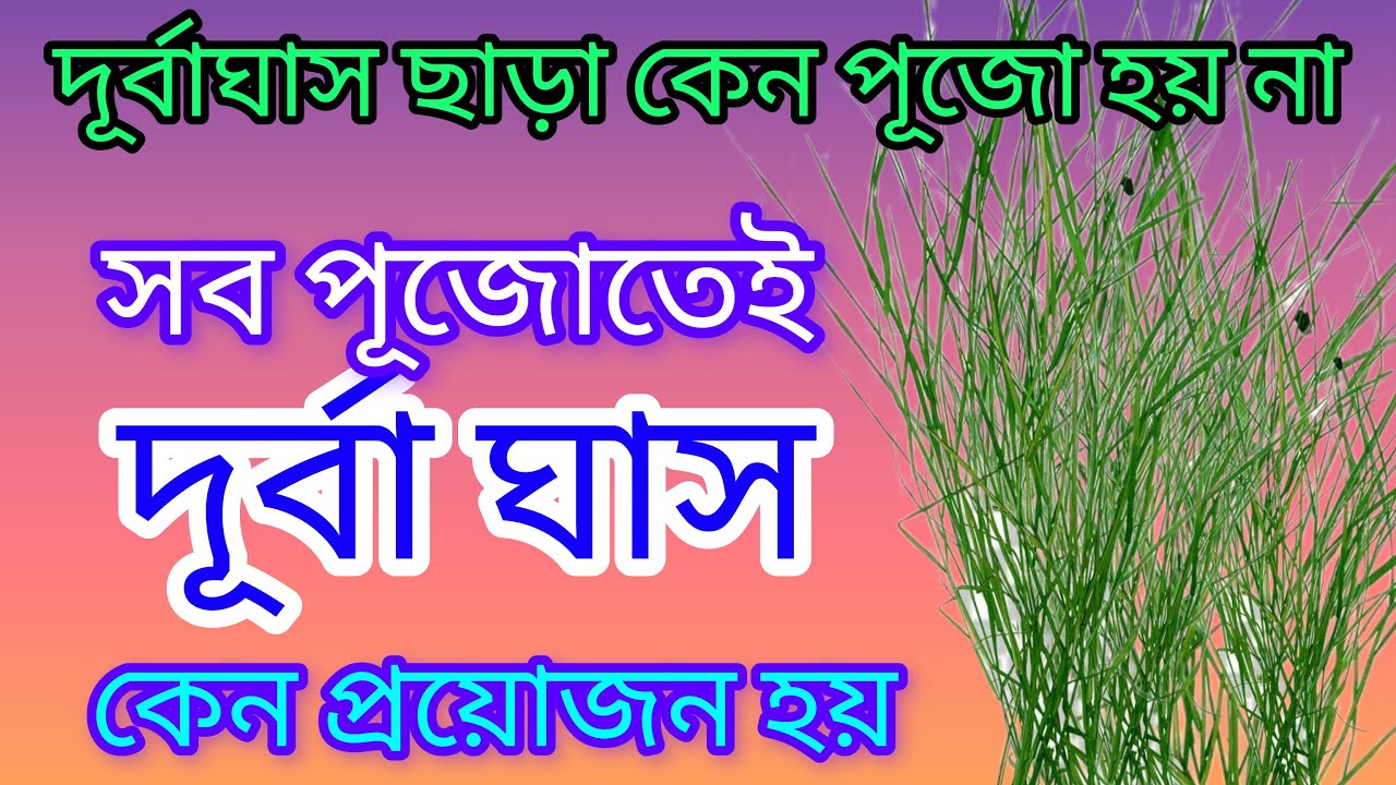 সকল পূজায় দূর্বা কেন লাগে। How to know why Durba required in all Puja ...