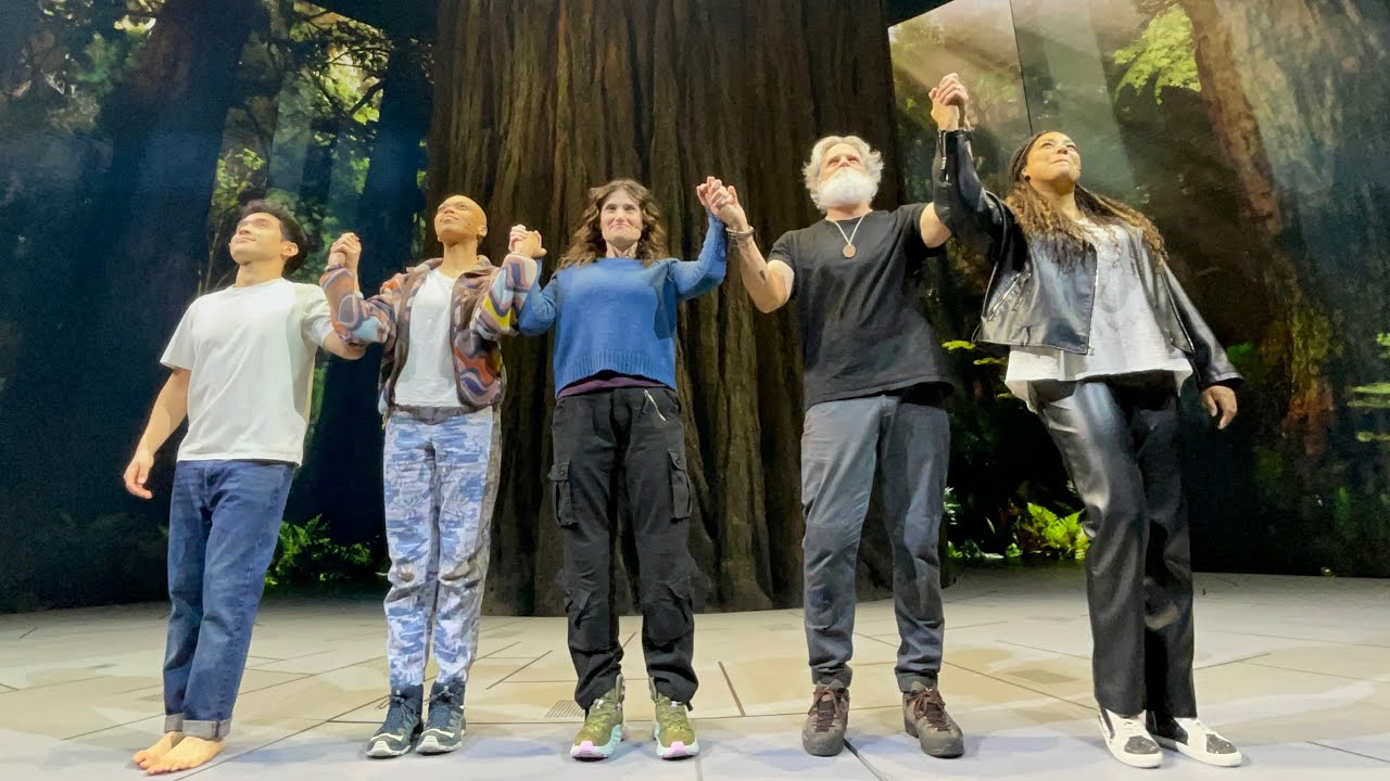 Redwood Musical Broadway - Idina Menzel - Bows - Nederlander Theatre ...