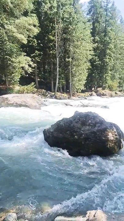 pahalgam #kashmir ️ - YouTube