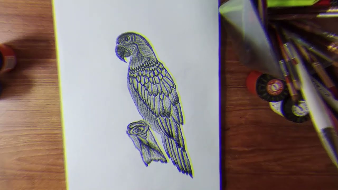 How to draw easy birds drawing step by step with pencil sketch for ...