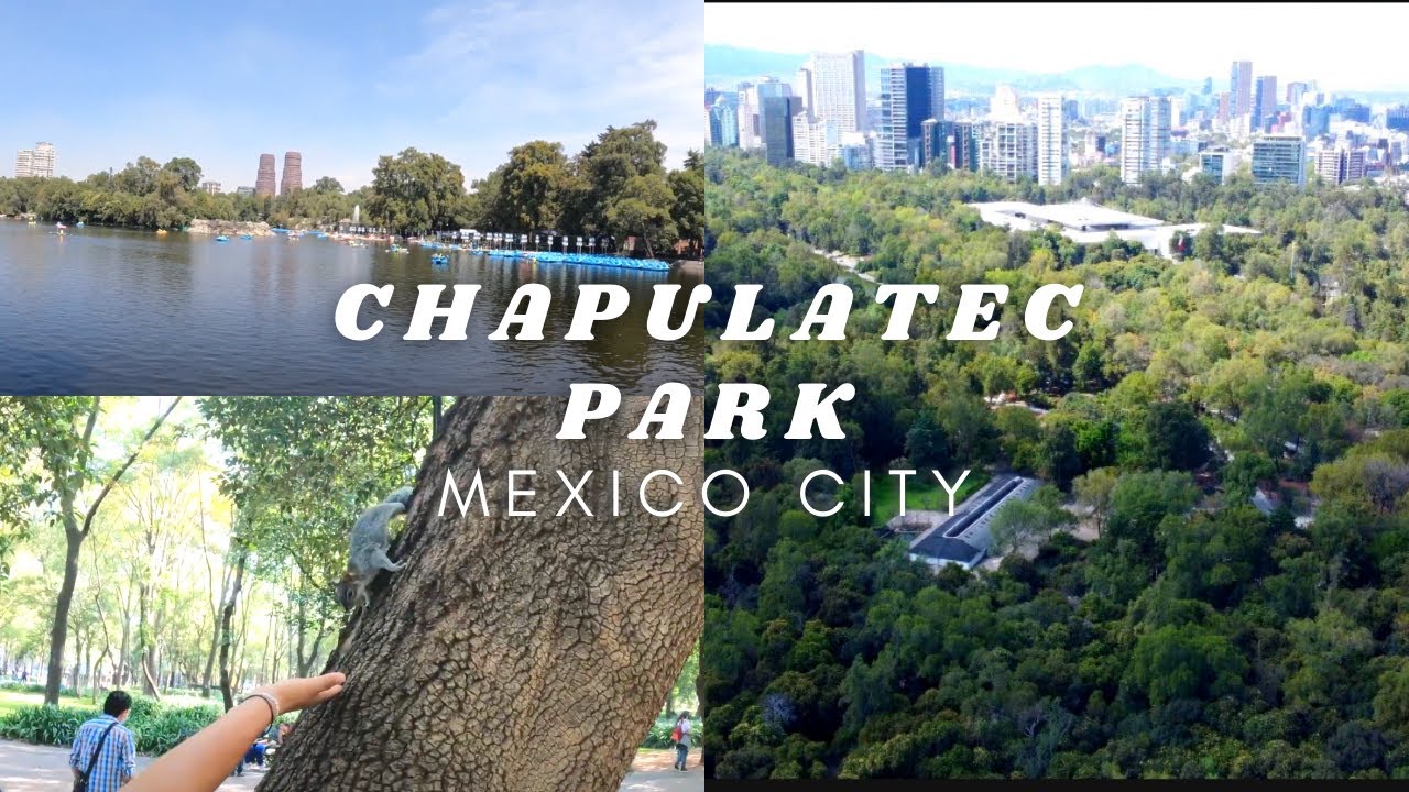 The one and only Bosque de Chapultepec (Chapuletec Park) in Ciudad de ...