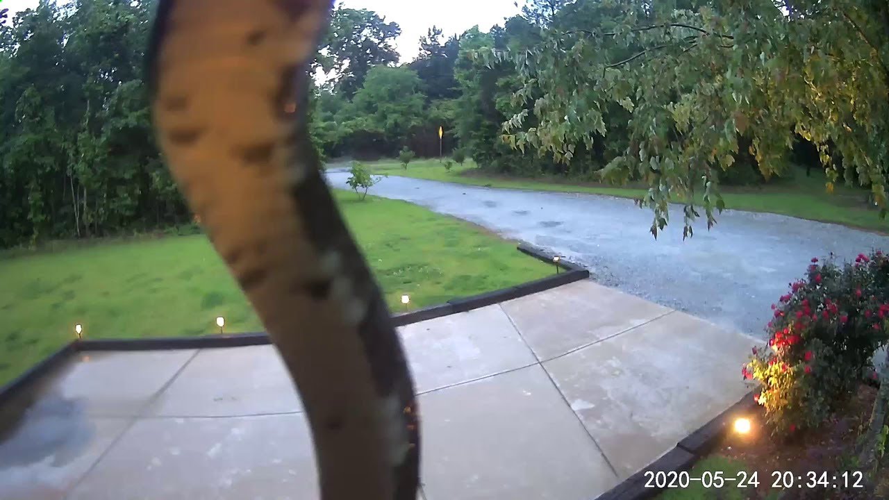Snake Slithers On Security Camera || ViralHog - YouTube
