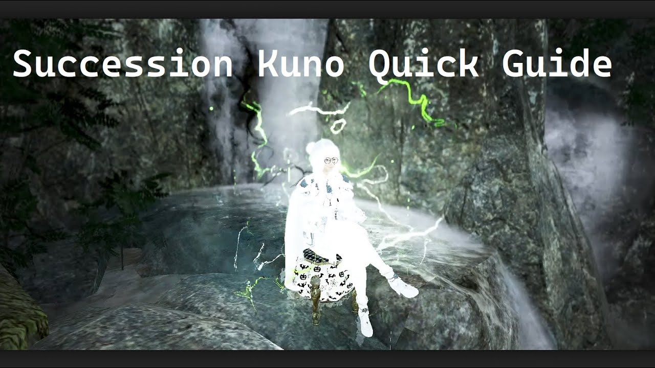 Succession Kunoichi Quick Start PvP Guide - YouTube