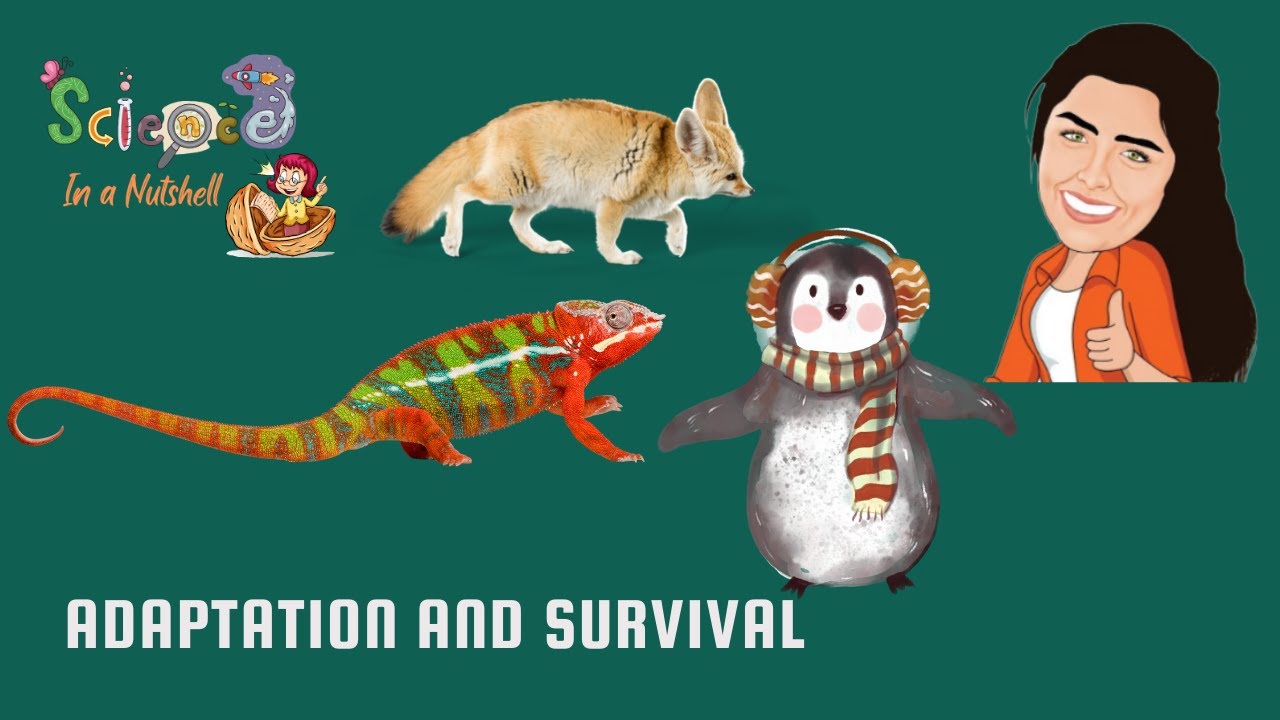 Animals Adaptation and Survival - Junior 4 - - YouTube