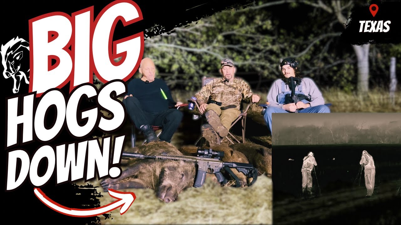 Big Hogs Down | Bering Optics Thermal SHOTS! - YouTube