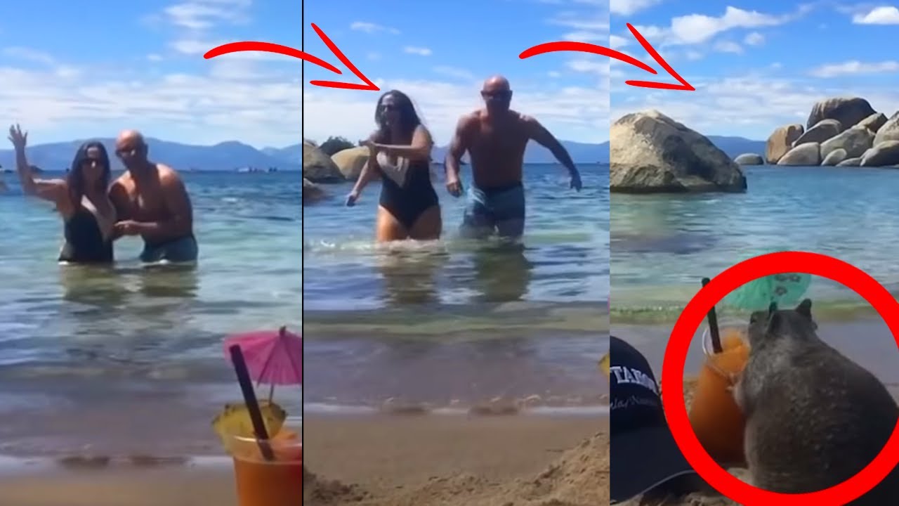 BEST FUNNY FAILS MEME COMPILATION, TRY NOT TO LAUGH CHALLENGE Ep #10 ...