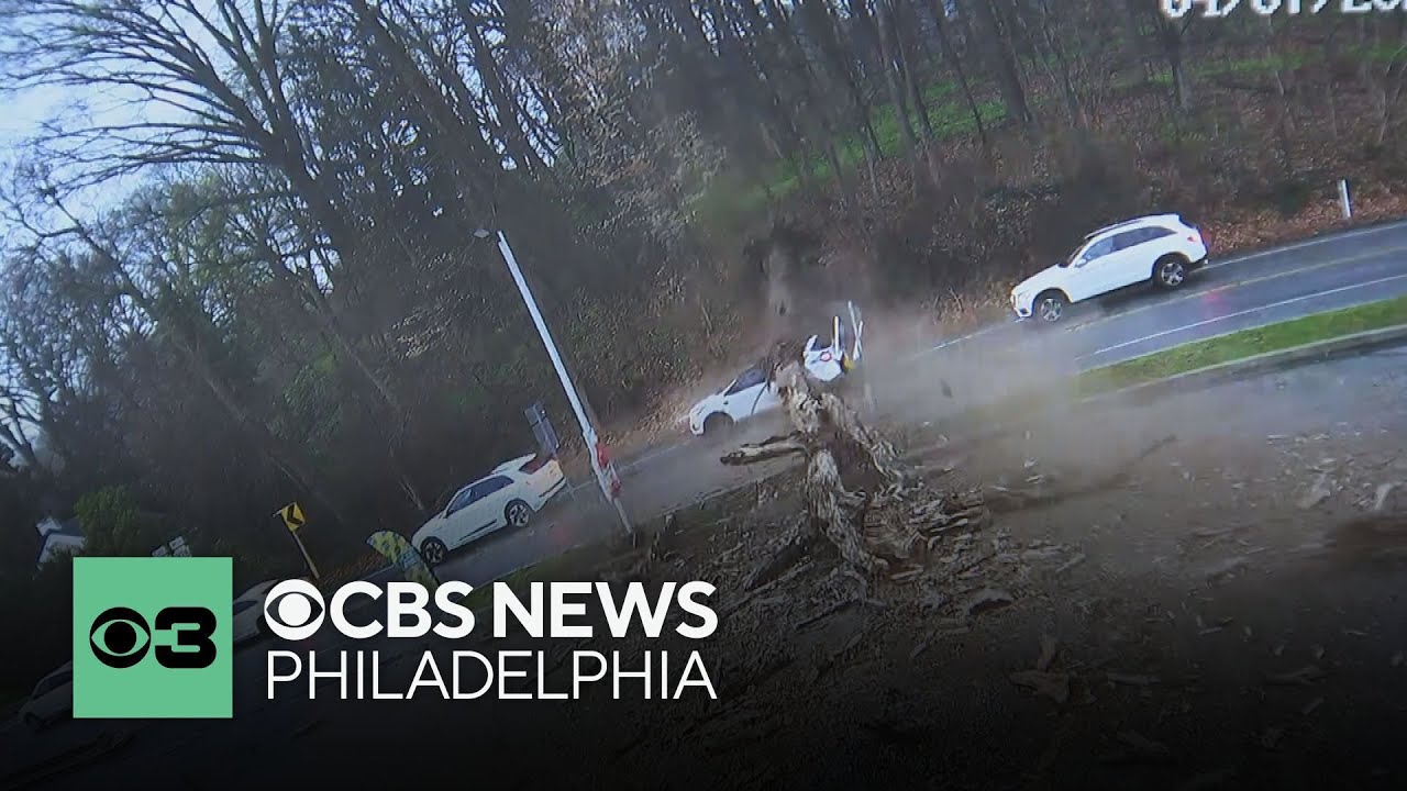 Tree smashes car on Pennsylvania Route 52 in Chester County - YouTube