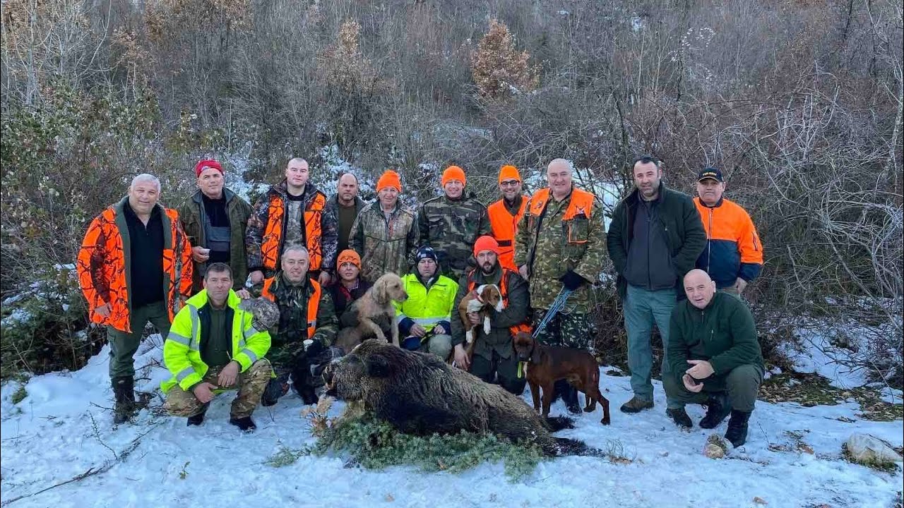 Lov na Diva Svinja Otsrel/Wild boar Hunting🐗 - YouTube