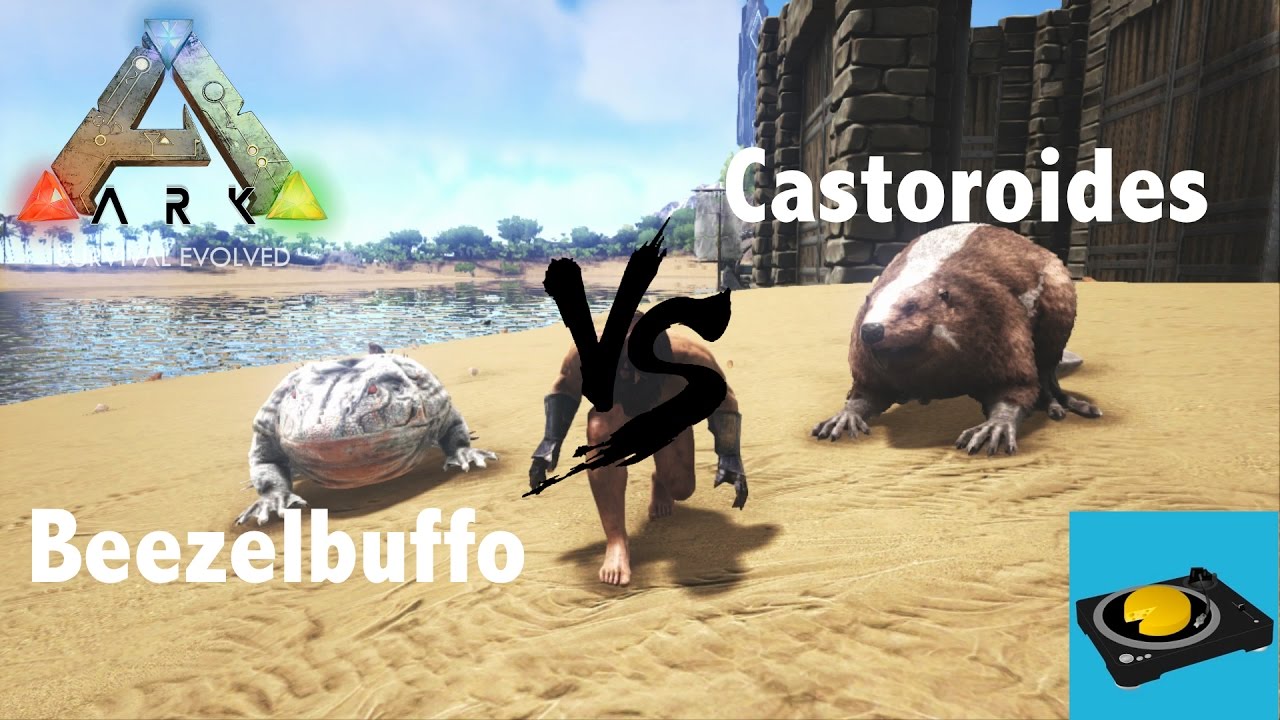 Ark Insight -- Beezelbuffo V.S Casteroides - YouTube