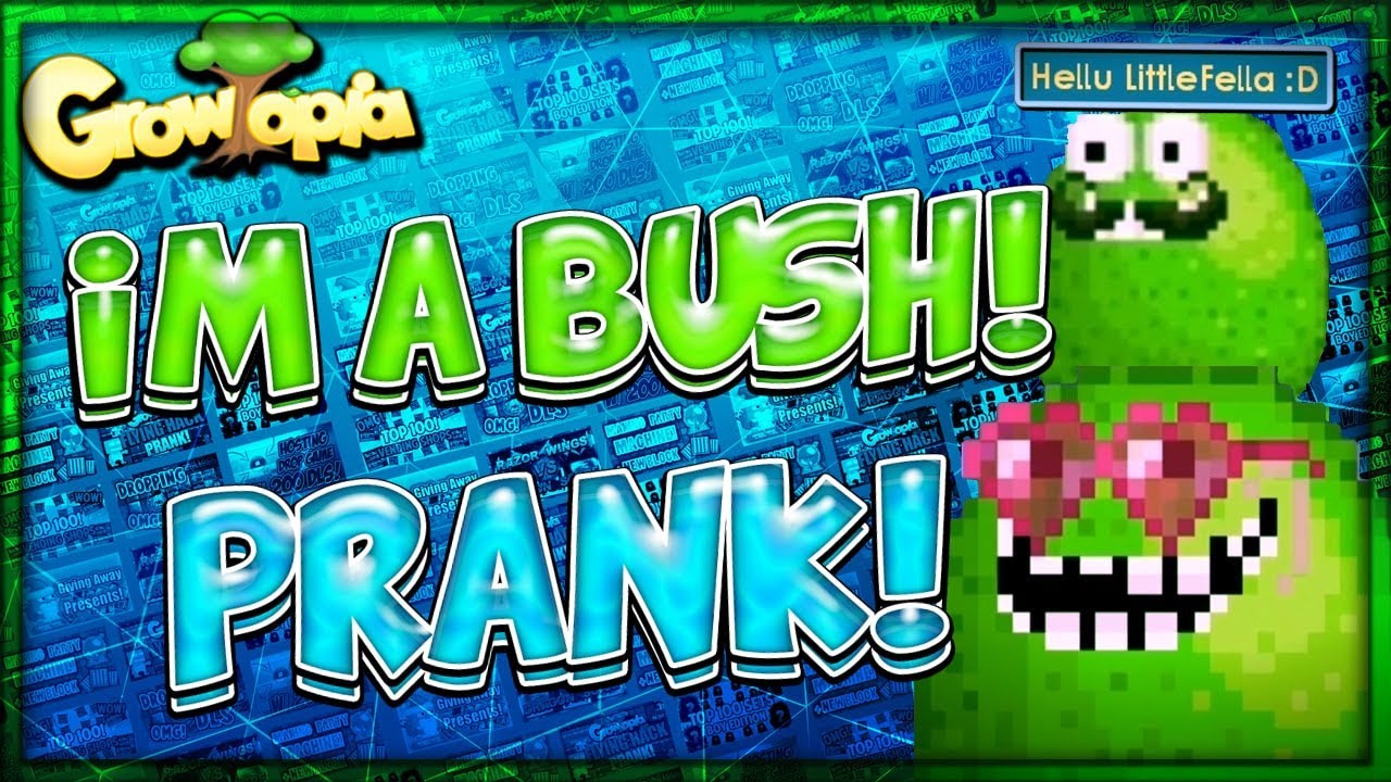 Growtopia - Im A Bush :3 (Prank) - YouTube