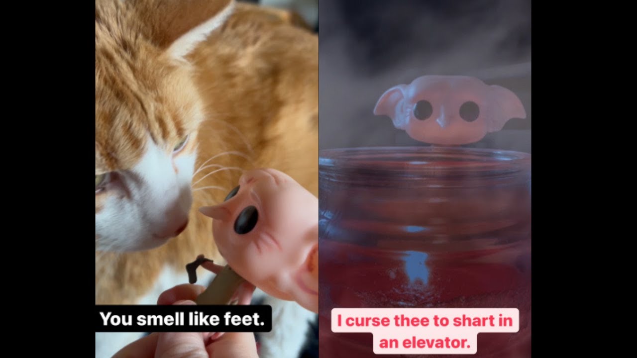 The Curse Of Dobby - YouTube