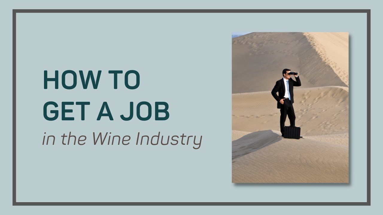How to Get a Job in the Wine Industry | Wine Sales Stimulator - YouTube